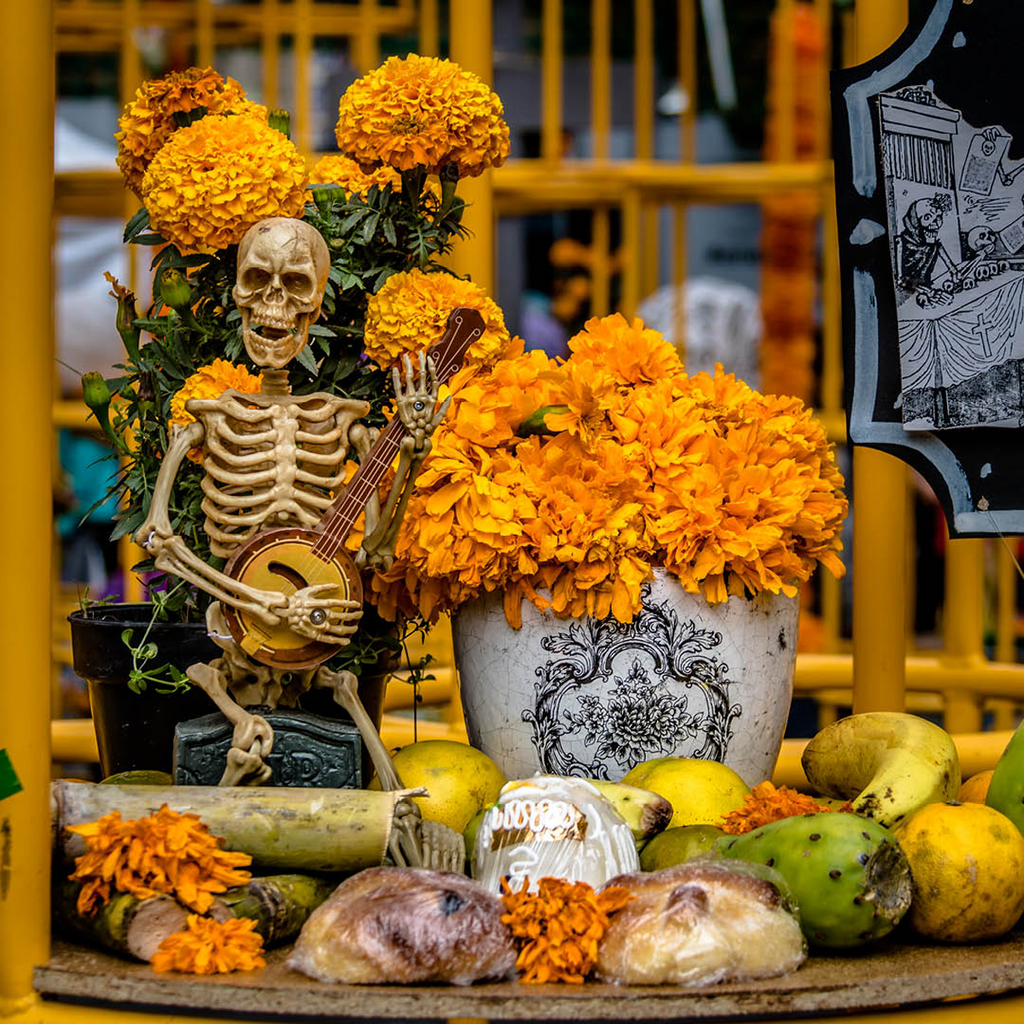 Marigolds for Día de los Muertos — Green Acres Nursery & Supply