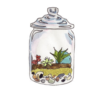 How to Build A Terrarium in 6 Easy Steps — Green Acres Nursery & Supply