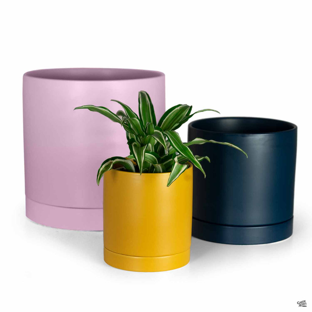 Romey Pot — Green Acres Nursery & Supply