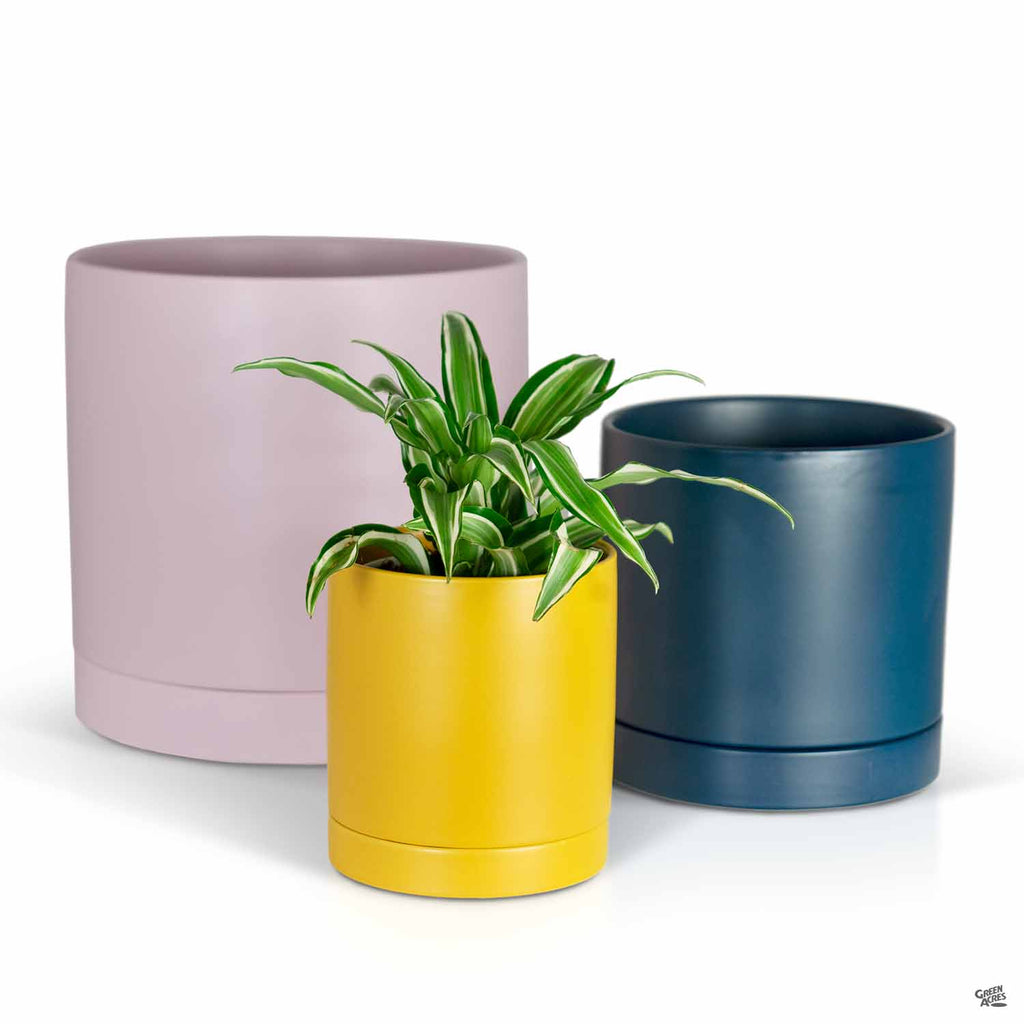 Romey Pot — Green Acres Nursery & Supply