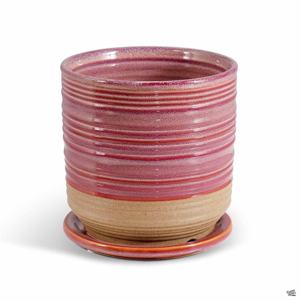 Ellora Planter — Green Acres Nursery & Supply
