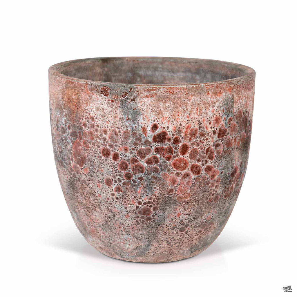 Coco Planter — Green Acres Nursery & Supply