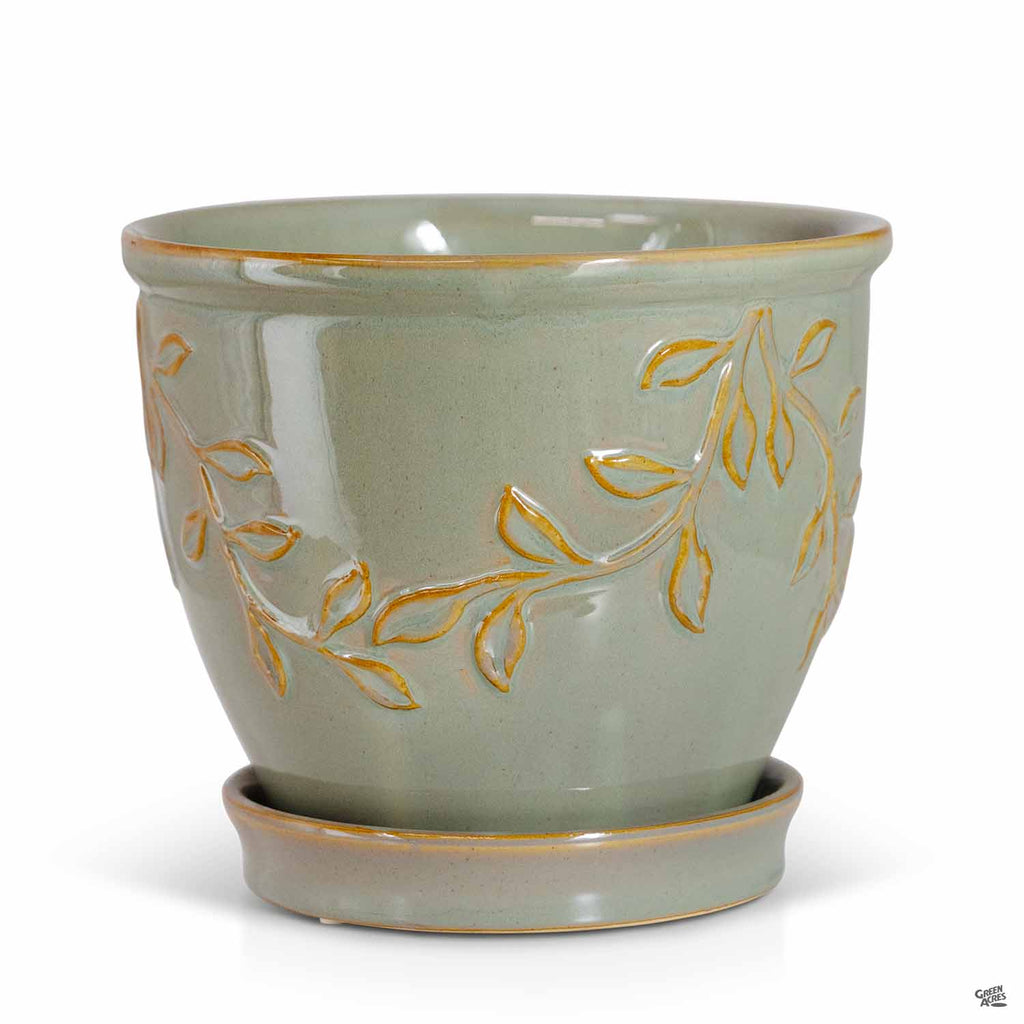 Vine Rim Planter — Green Acres Nursery & Supply