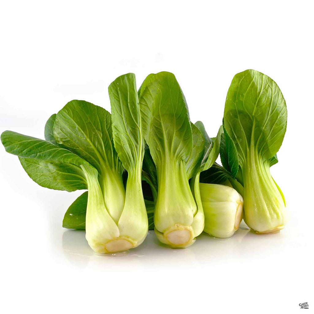 Pak Choi 'Toy Choy' — Green Acres Nursery & Supply