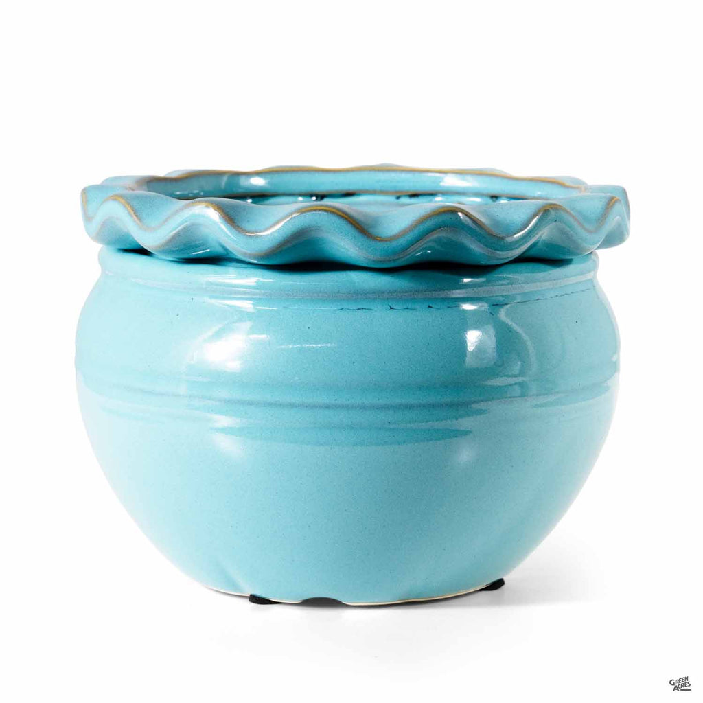 Pie Rim Self-Watering Pot — Green Acres Nursery & Supply