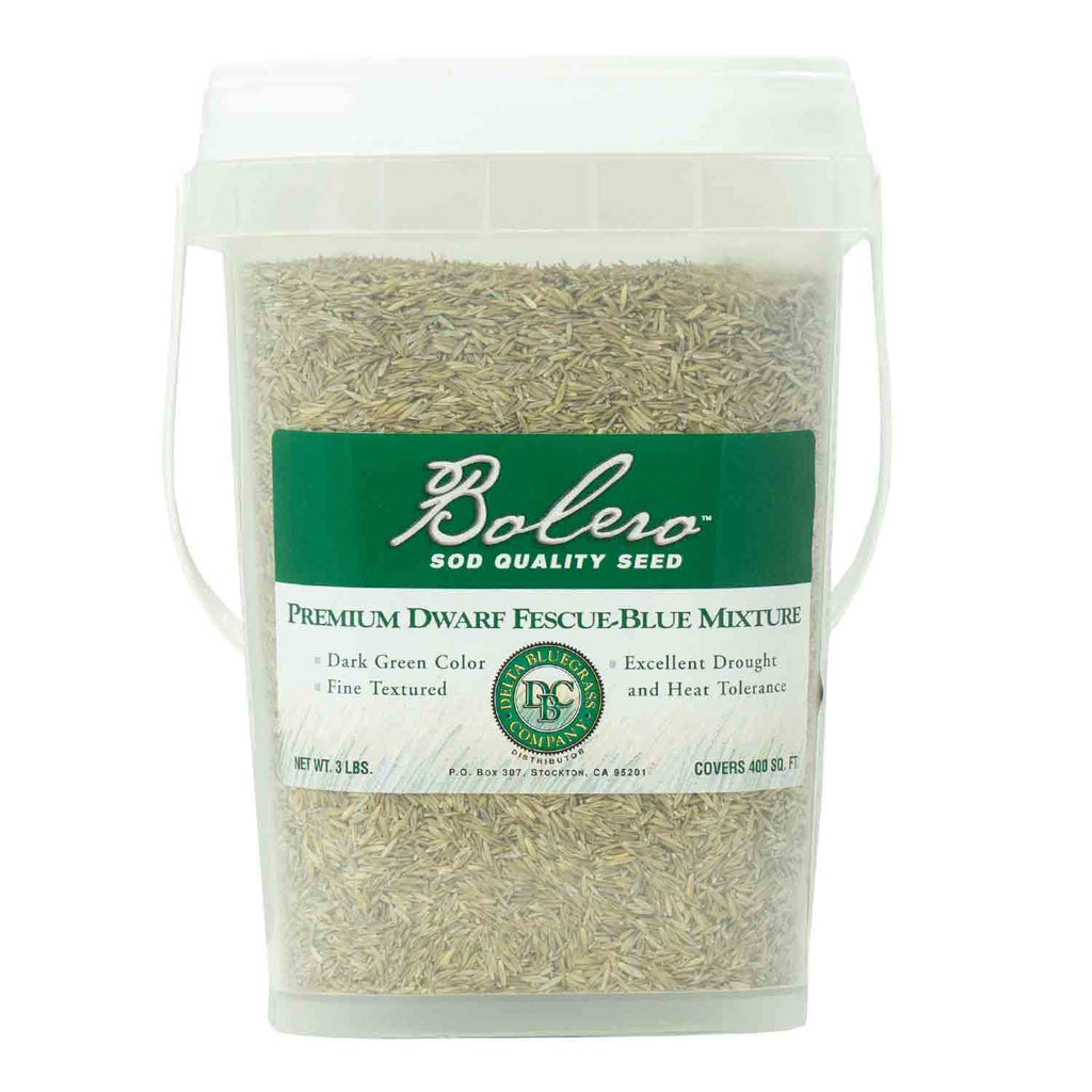 Delta Bluegrass Company Bolero™ Premium Dwarf Fescue-Blue Mixtur ...