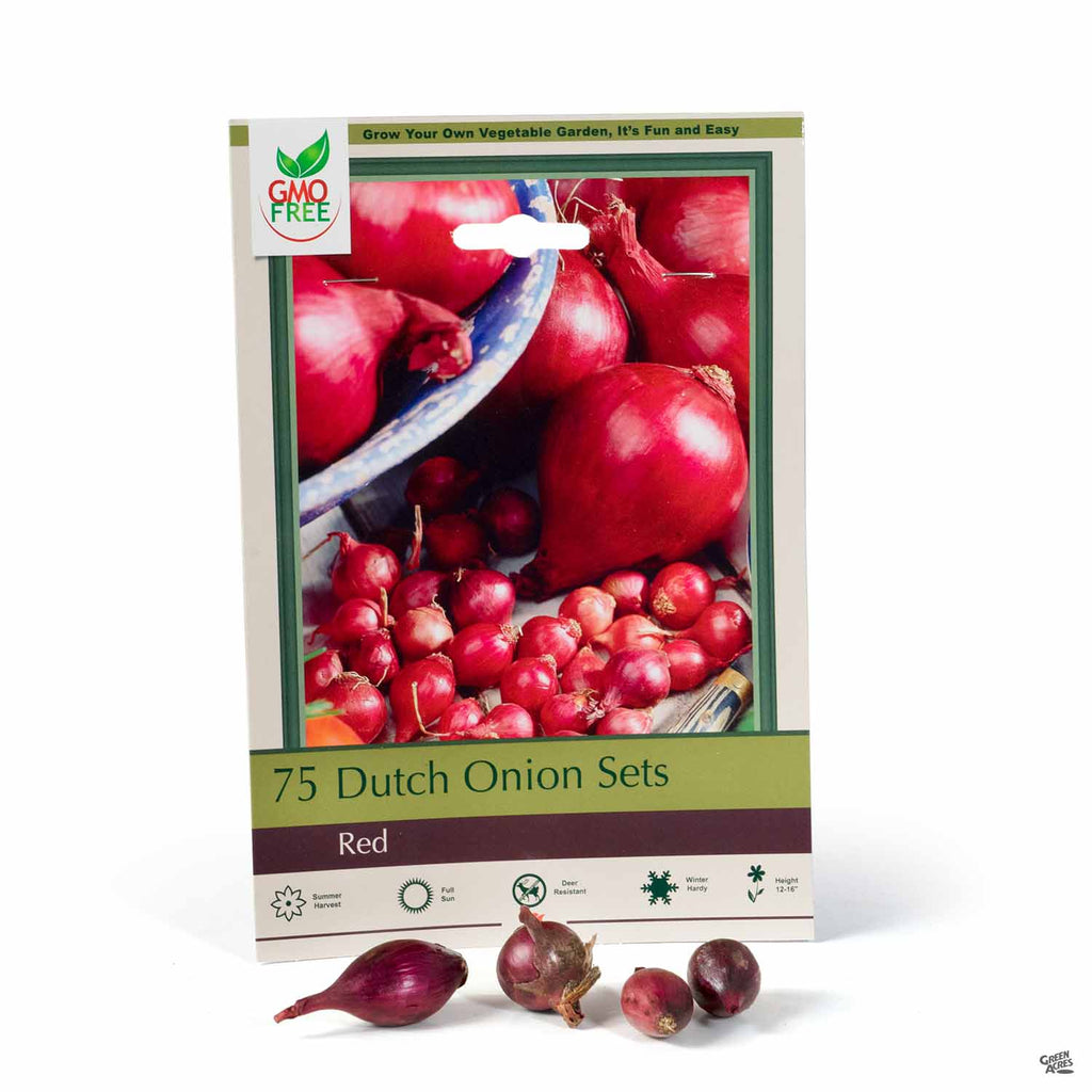 Dutch Onion 'Red' — Green Acres Nursery & Supply
