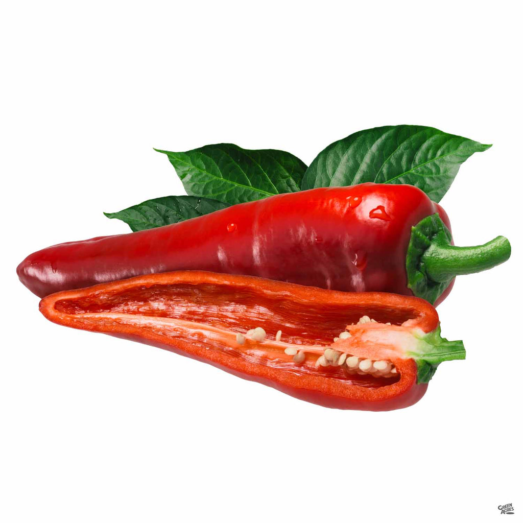 Types Of Italian Sweet Peppers Sweet Delilah (Sweet Italian Roasting