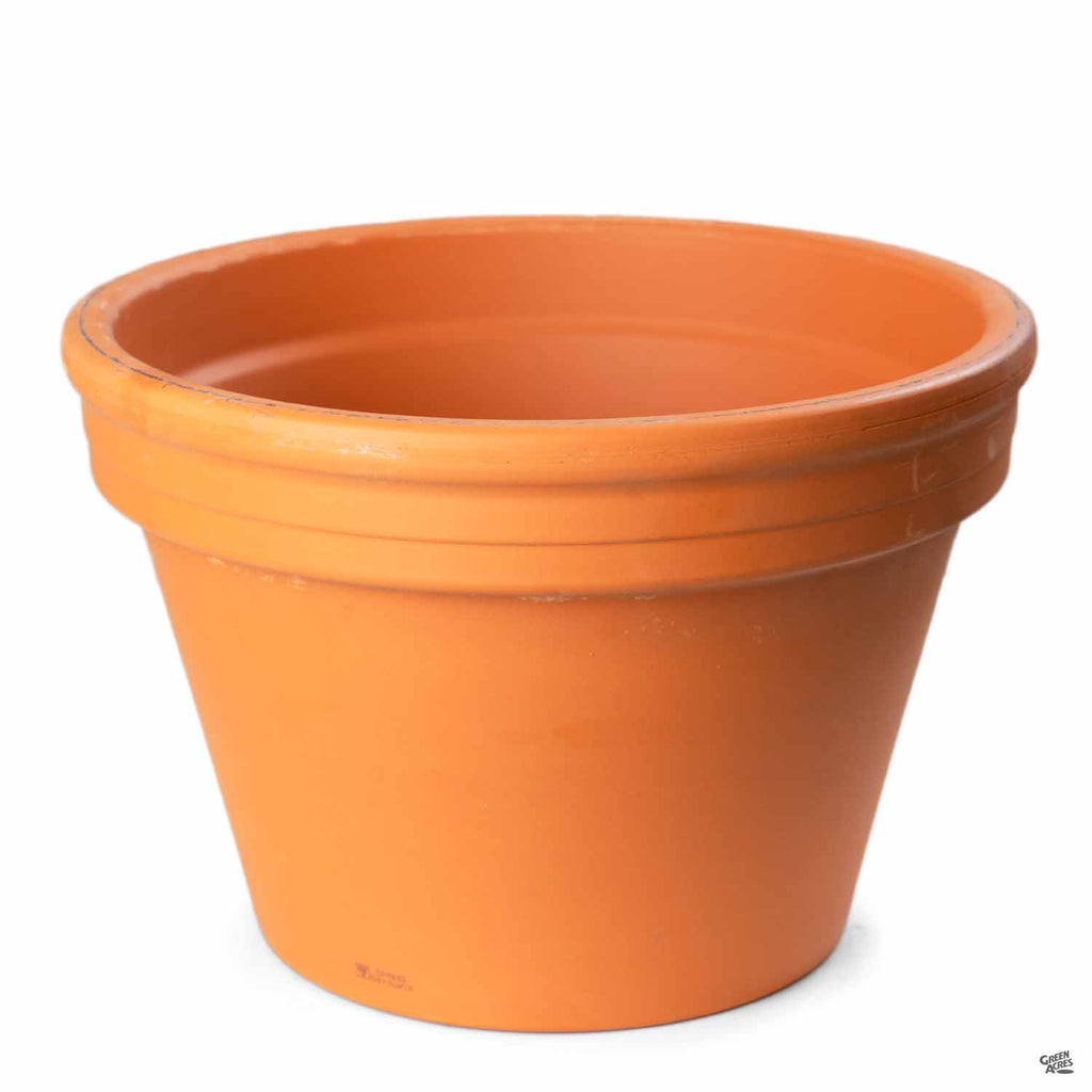 German Azalea Clay Pot Terracotta — Green Acres Nursery & Supply