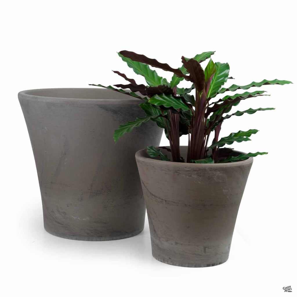 German Rio Clay Pot Chocolate Marbled — Green Acres Nursery & Supply