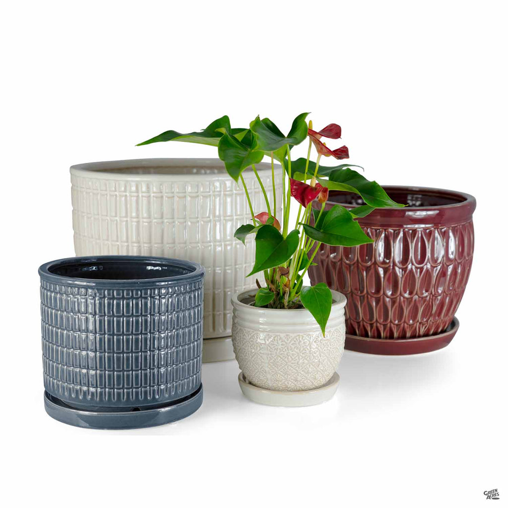 Raindrop Egg Planter — Green Acres Nursery & Supply