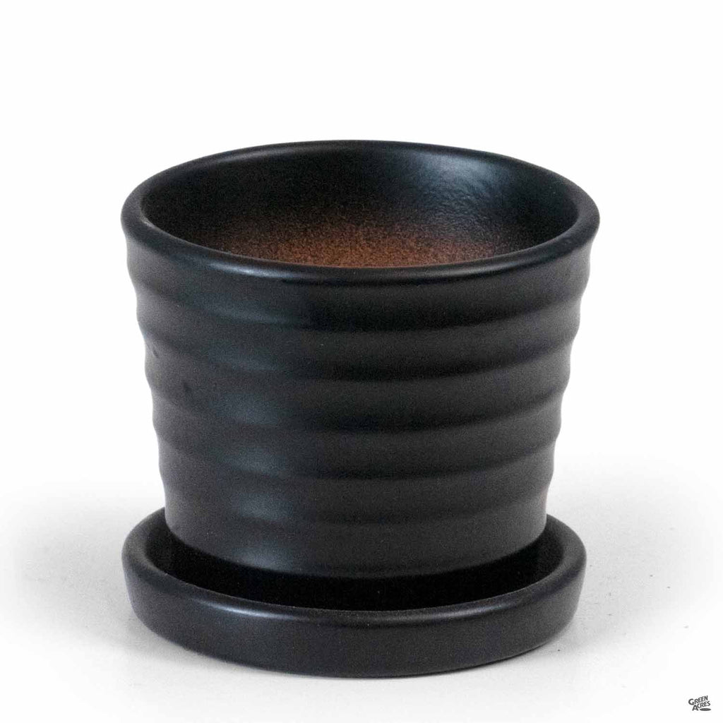 Matte Ribbed Pot — Green Acres Nursery & Supply