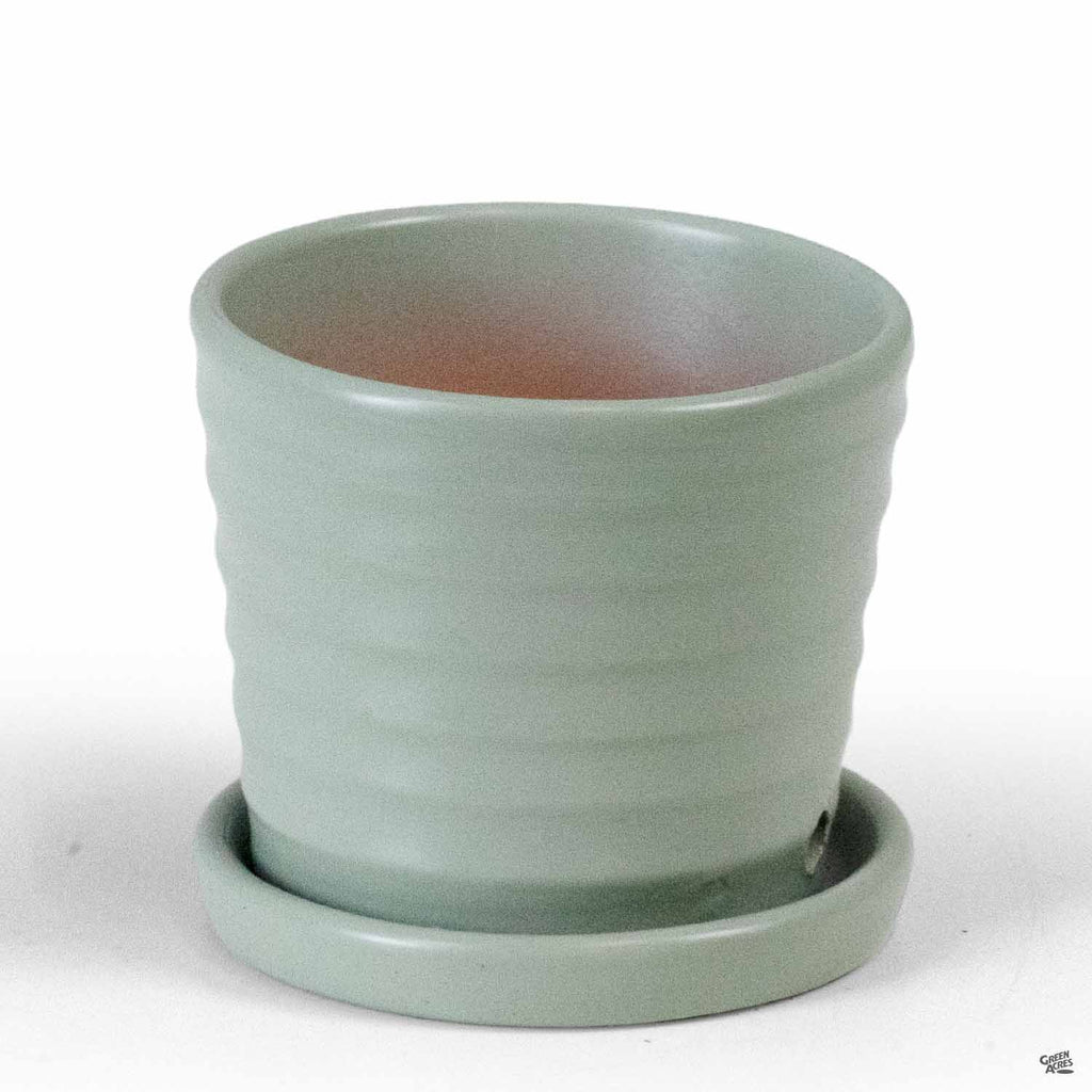 Matte Ribbed Pot — Green Acres Nursery & Supply