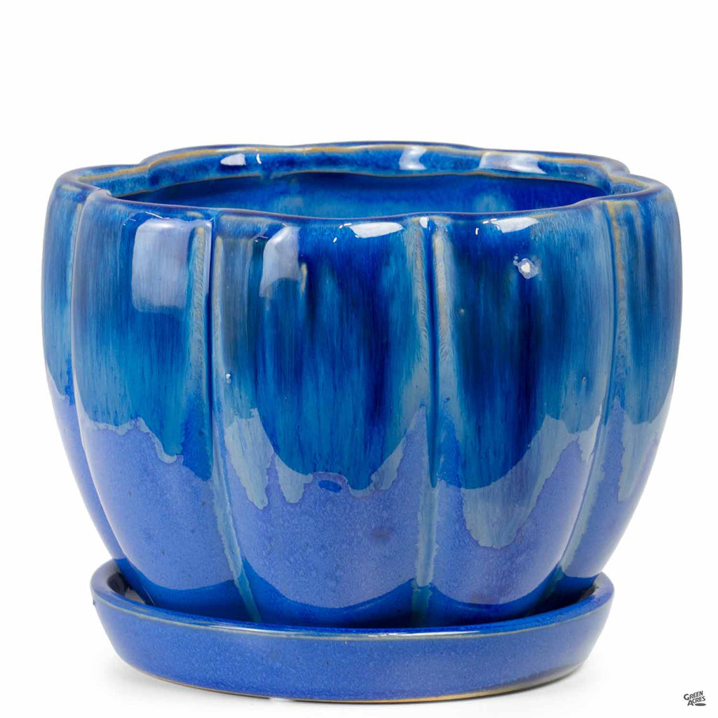 Petal Bowl — Green Acres Nursery & Supply