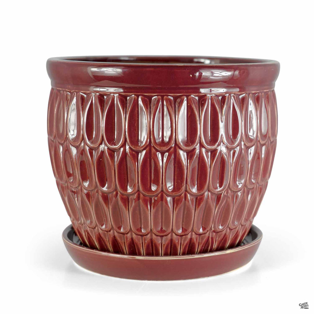 Raindrop Egg Planter — Green Acres Nursery & Supply