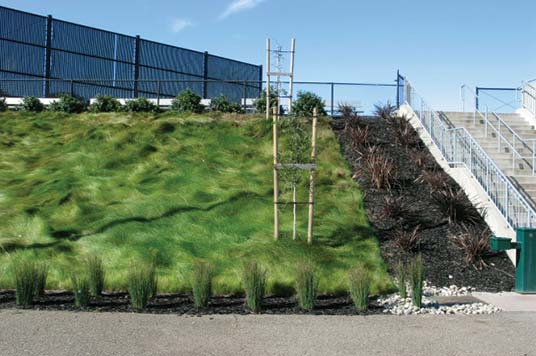 Native Preservation Mix — Green Acres Nursery & Supply